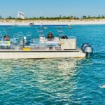 Shell Island Dolphin Sightseeing Boat Tour in Panama City Beach - An In-Depth Look at the Tour Experience