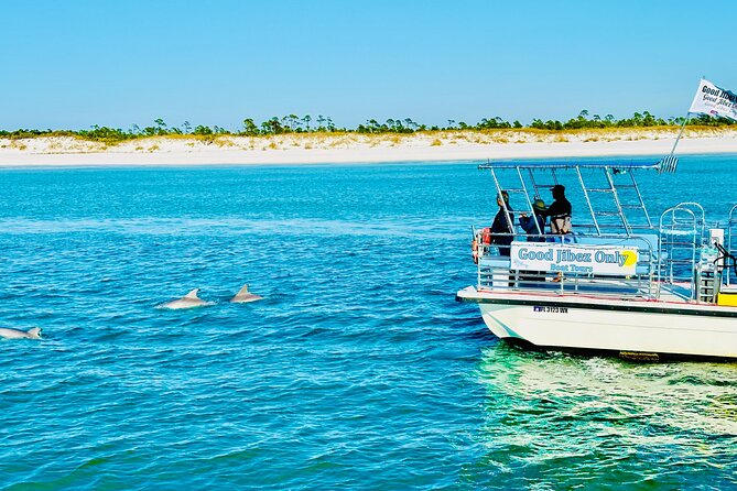 Shell Island Dolphin Sightseeing Boat Tour in Panama City Beach - Why the Trip Delivers Great Value