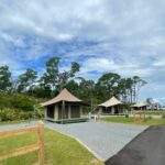 Shell Island Ferry - St Andrews State Park - The Return Journey and Additional Considerations