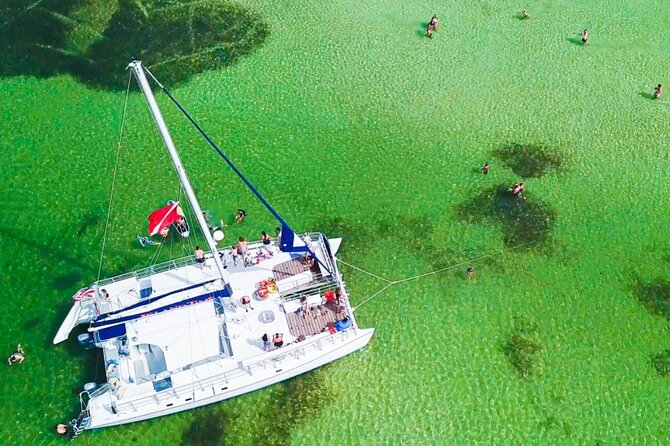 Shell Island Snorkel and Dolphin Catamaran Cruise with Island Time - An In-Depth Look at the Experience