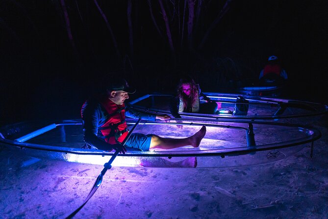 Shell Key Clear Kayak Sunset & Glow Tours - A Bright Spin on Kayaking: Shell Key Clear Kayak Sunset & Glow Tours