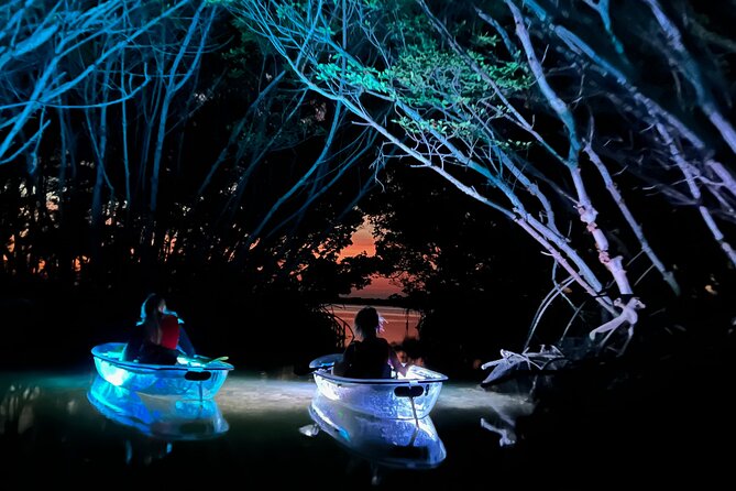 Shell Key Clear Kayak Sunset & Glow Tours - The Experience in Detail: What to Expect on the Tour