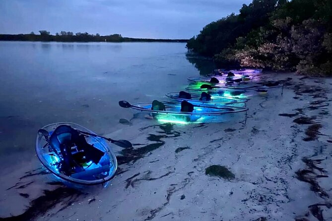Shell Key Clear Kayak Sunset & Glow Tours - Who Should Book This Experience?