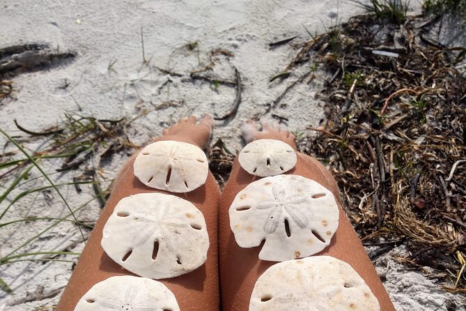 Shell Key Ferry from Ft. DeSoto Boat Ramp in Tierra Verde, FL - What Makes Shell Key Special?