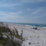 Shelling on Cayo Costa and Lunch at Cabbage Key - Practical Details and Considerations