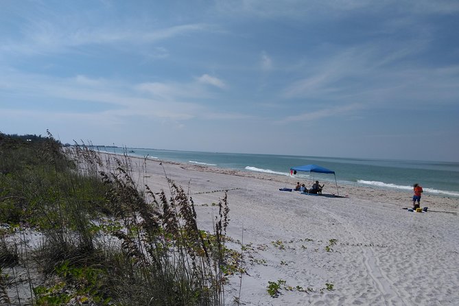 Shelling on Cayo Costa and Lunch at Cabbage Key - Practical Details and Considerations