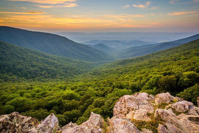 Shenandoah National Park Self-Guided Driving Audio Tour - A Closer Look at the Shenandoah Self-Guided Tour