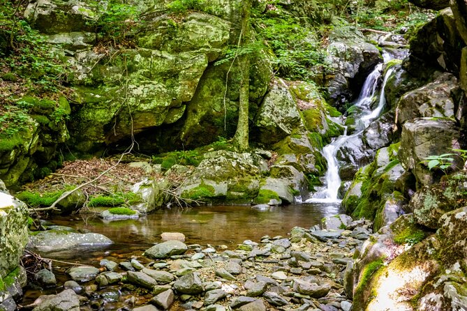 Shenandoah National Park Self-Guided Driving Audio Tour - FAQs