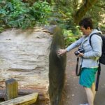 Shore Excursion: Guided Tour to Muir Woods with Roundtrip Journey - Who Will Love This Tour?