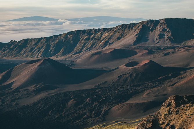 Shore Excursion: Haleakala Sunrise Tour for Pride of America Passengers - Who Should Take This Tour?