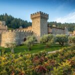 Shore Excursion in SFO - Enchanted Napa & Sonoma Wine Tour in SUV - Who Is This Tour Best For?