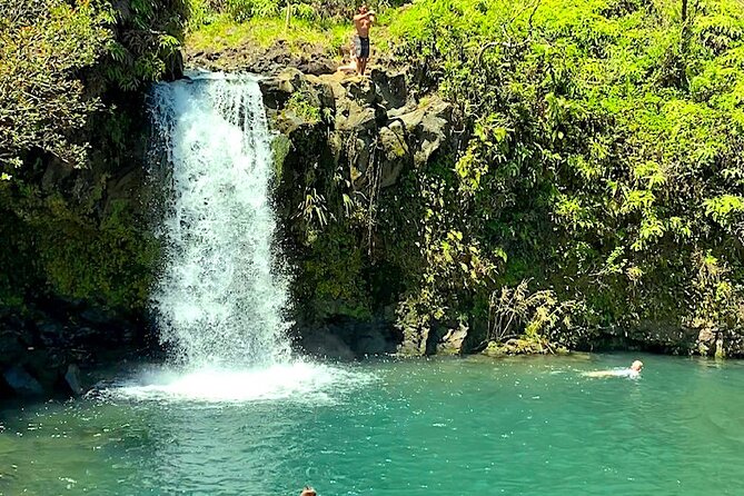 Shore Excursion of Maui - Exploring the Road to Hana: A Day in Paradise