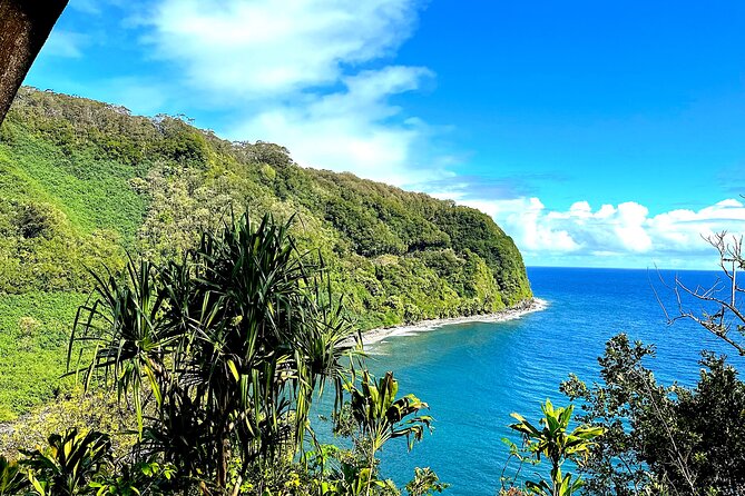 Shore Excursion of Maui - Who Will Love This Tour?