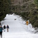 Shuttle to Snoqualmie Pass Ski and Snowboard - Why Choose the Shuttle to Snoqualmie Pass?