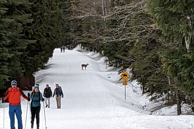 Shuttle to Snoqualmie Pass Ski and Snowboard - Why Choose the Shuttle to Snoqualmie Pass?