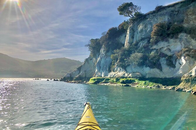 Sick Day Midweek Kayak Tour on Tomales Bay - What the Tour Offers and Why It Matters