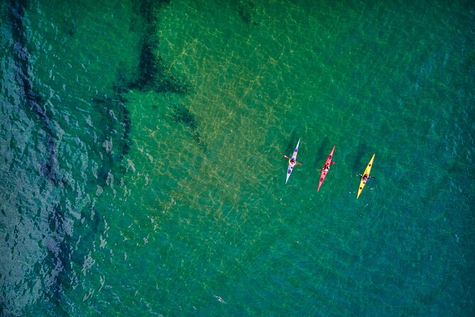 Sick Day Midweek Kayak Tour on Tomales Bay - Deep Dive into the Itinerary