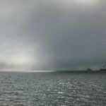 Sick Day Midweek Kayak Tour on Tomales Bay - The Value for Your Dollar