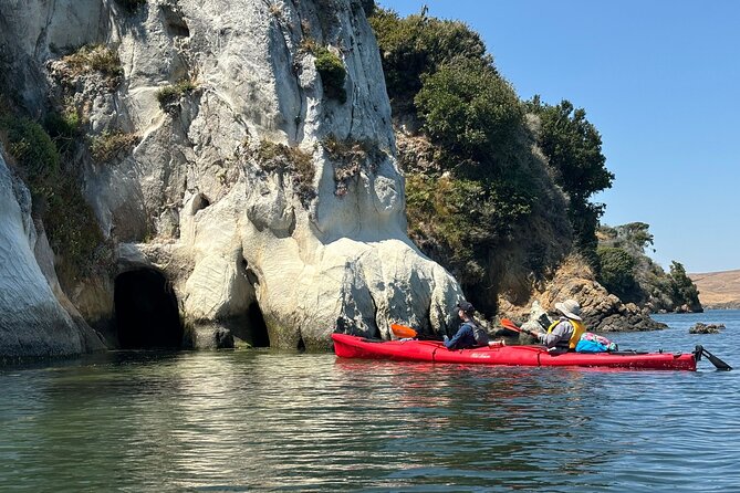 Sick Day Midweek Kayak Tour on Tomales Bay - What Reviewers Say