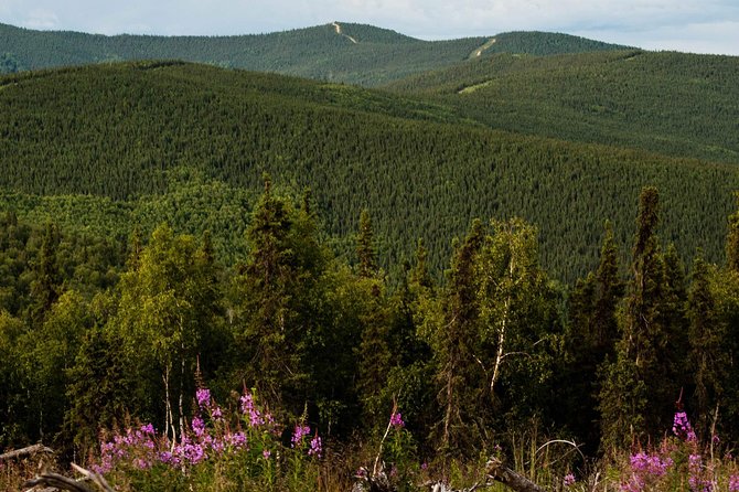 Side by Side ATV Fall Tour - An In-Depth Look at the Fairbanks ATV Fall Tour