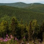 Side by Side Evening Tour - Breaking Down the Itinerary