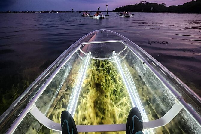 Siesta Key, FL - Clear Kayak LED Night Glass Bottom Tour - A Closer Look at the Experience