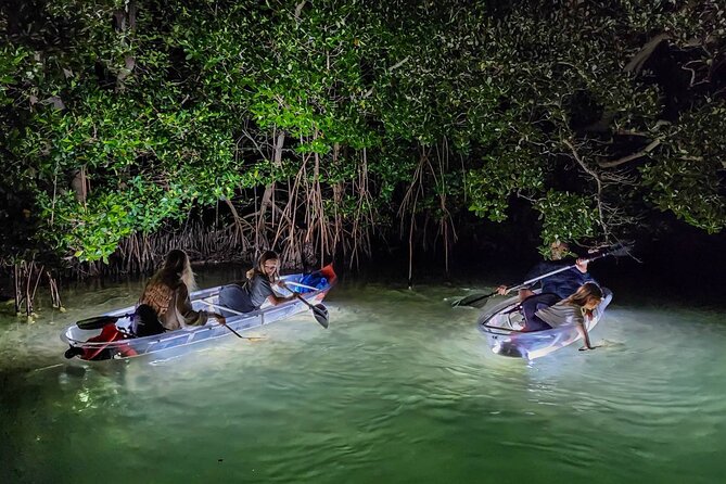 Siesta Key, FL - Clear Kayak LED Night Glass Bottom Tour - Who Would Love This Tour?