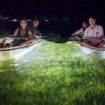 Siesta Key, FL - Clear Kayak LED Night Glass Bottom Tour - The Sum Up
