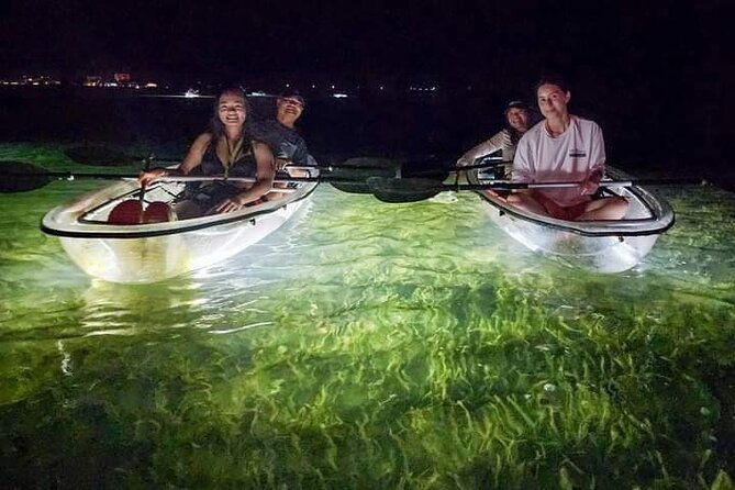 Siesta Key, FL - Clear Kayak LED Night Glass Bottom Tour - The Sum Up