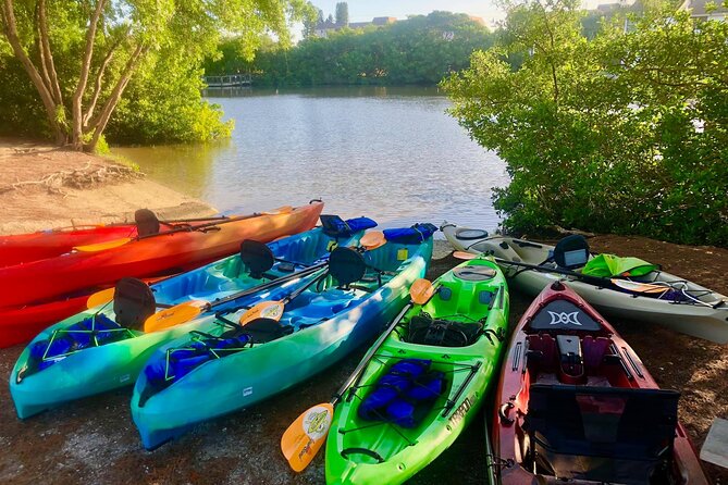 Siesta Key Guided Eco Tour - Final Thoughts