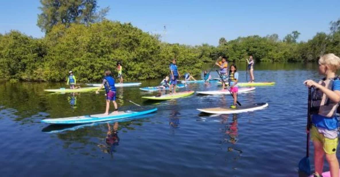 Siesta Key: Mangrove Kayak or Paddleboard Tour - Key Points