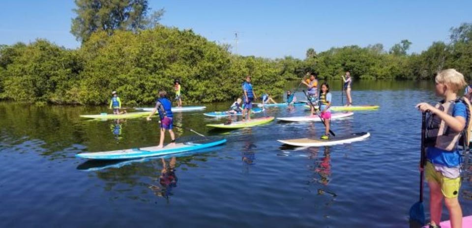 Siesta Key: Mangrove Kayak or Paddleboard Tour - Who Should Consider This Tour?