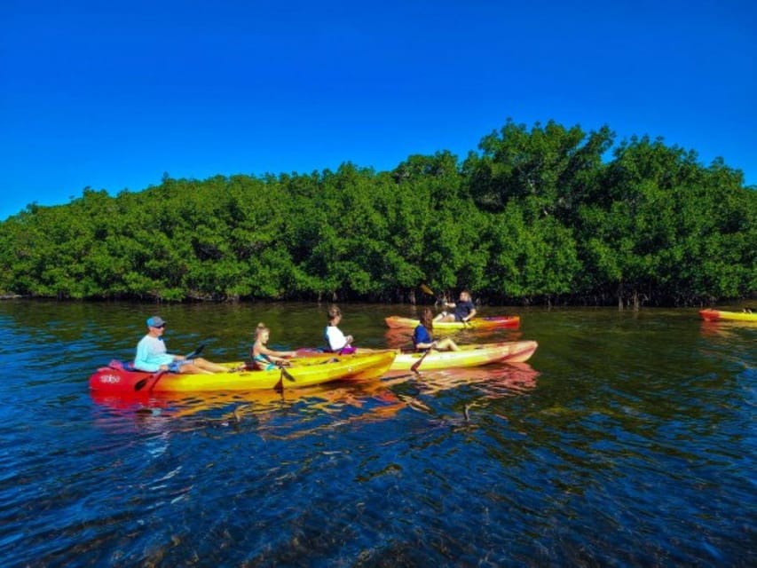 Siesta Key: Mangrove Kayak or Paddleboard Tour - FAQ: Your Quick Guide to the Siesta Key Mangrove Tour
