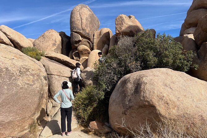 Sightseeing Adventure Tour of Joshua Tree National Park - An In-Depth Look at the Tour Itinerary