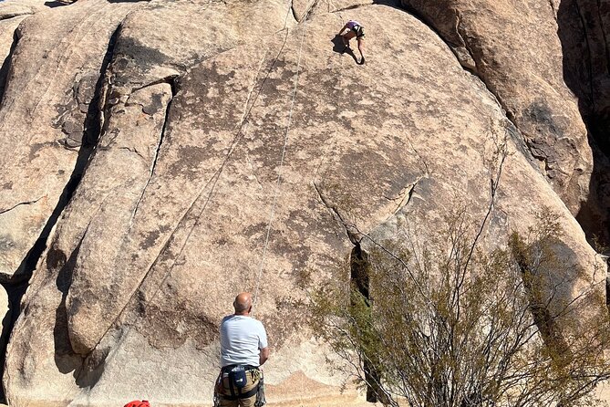 Sightseeing Adventure Tour of Joshua Tree National Park - What to Expect from the Experience