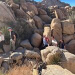 Sightseeing Adventure Tour of Joshua Tree National Park - Real-Life Experiences & Insights from Travelers