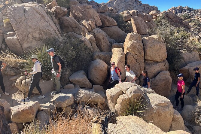 Sightseeing Adventure Tour of Joshua Tree National Park - Real-Life Experiences & Insights from Travelers