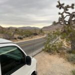 Sightseeing Adventure Tour of Joshua Tree Park (Max 10) - What Makes This Tour Stand Out?