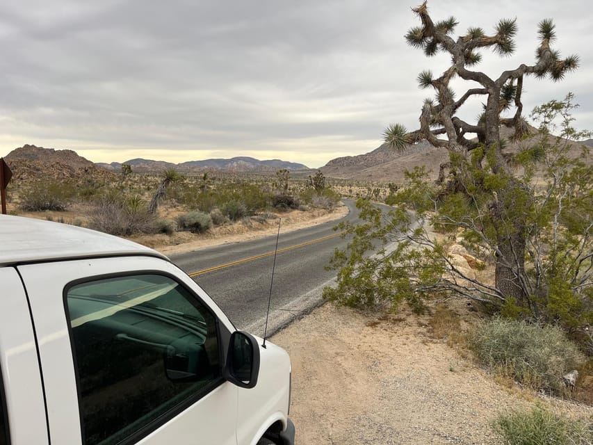 Sightseeing Adventure Tour of Joshua Tree Park (Max 10) - What Makes This Tour Stand Out?