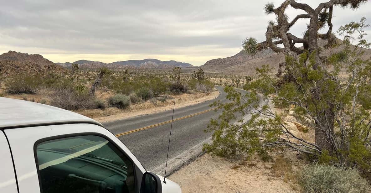 Sightseeing Adventure Tour of Joshua Tree Park (Max 10) - Who Is This Tour Best For?