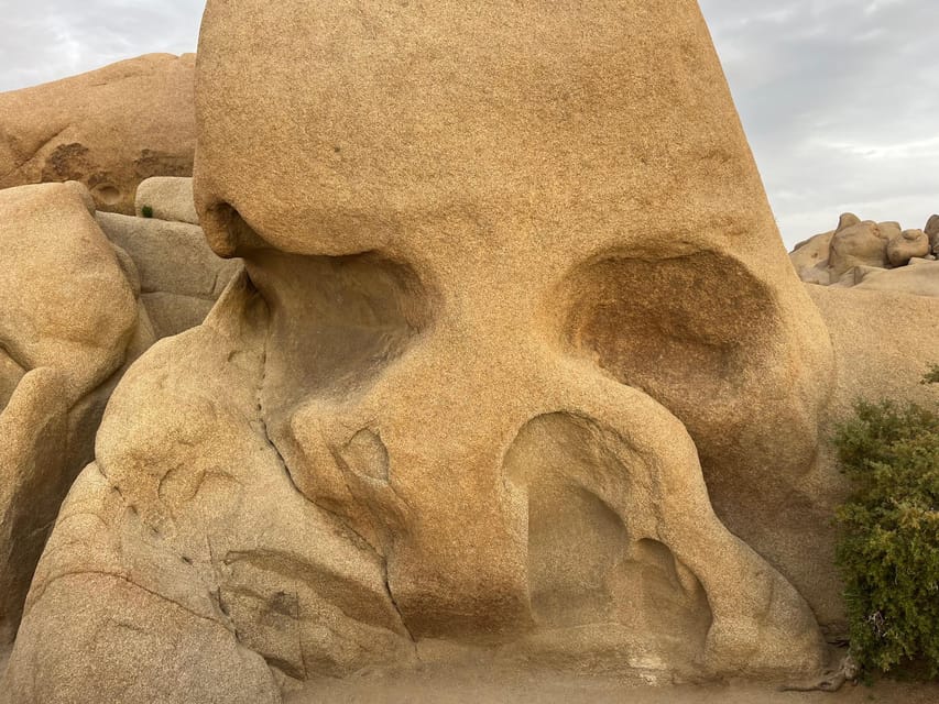 Sightseeing Adventure Tour of Joshua Tree Park (Max 10) - FAQ