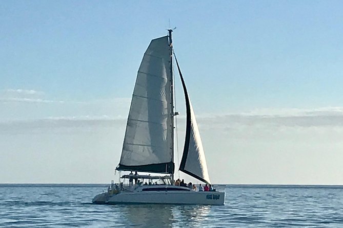 Sightseeing and Sunset Catamaran Sailing Excursion - Authentic Experiences from Guests