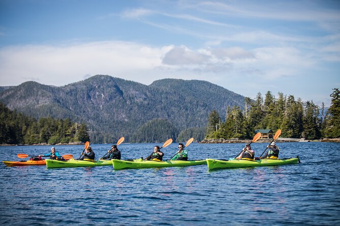 Siginaka Islands Cruise and Kayak Adventure - Key Points