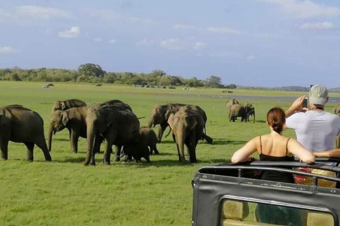 Sigiriya Rock & Cave Temple with Jeep Safari Private Day Trip - Wildlife Safari: Minneriya or Kaudulla National Park