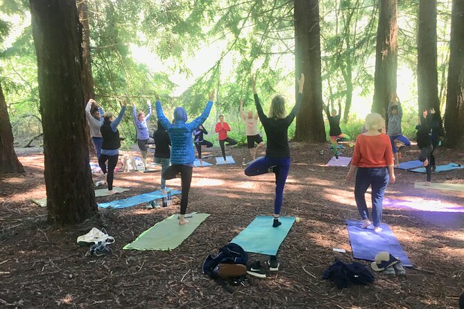 Silent Disco Style Yoga Class in Lake Merritt Pergola - Authentic Feedback and Insights