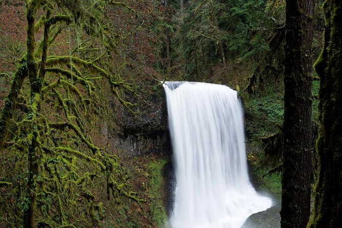 Silver Falls Private Hike Tour - The Town of Silverton and Beyond