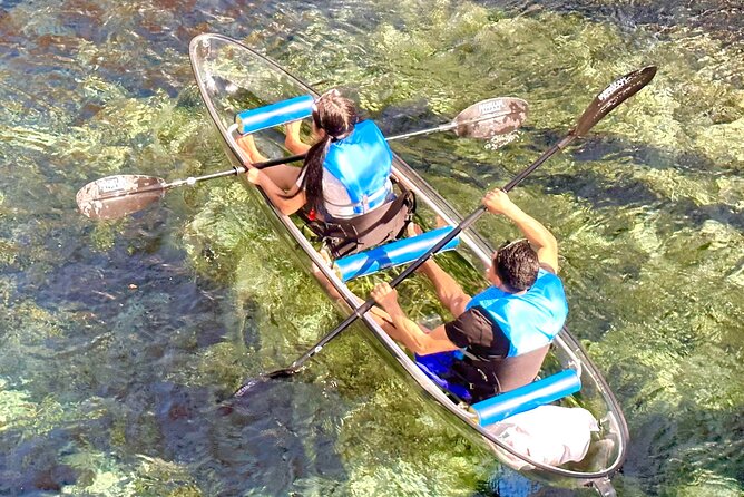 Silver Springs Clear Kayak Manatee & Monkey Adventures - Price & Value