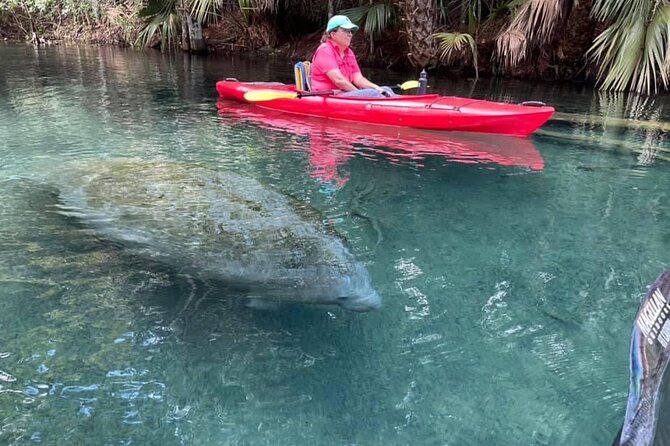 Silver Springs Clear Kayak Manatee & Monkey Adventures - Accessibility and Logistics