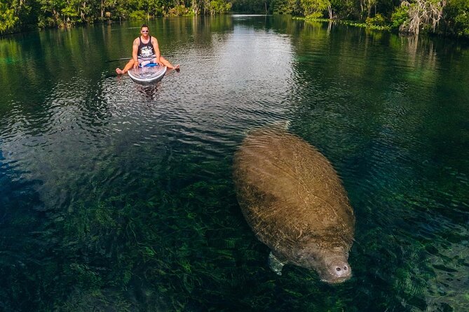 Silver Springs: Clear Kayak Wildlife Adventure - Who Is This Tour Best For?