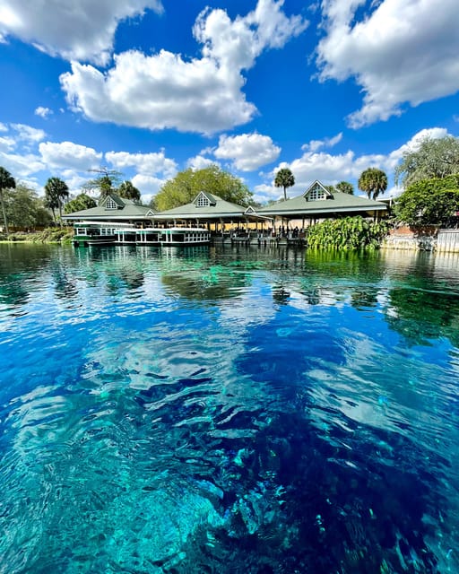 Silver Springs: Clear Kayak Wildlife Tour - Key Points